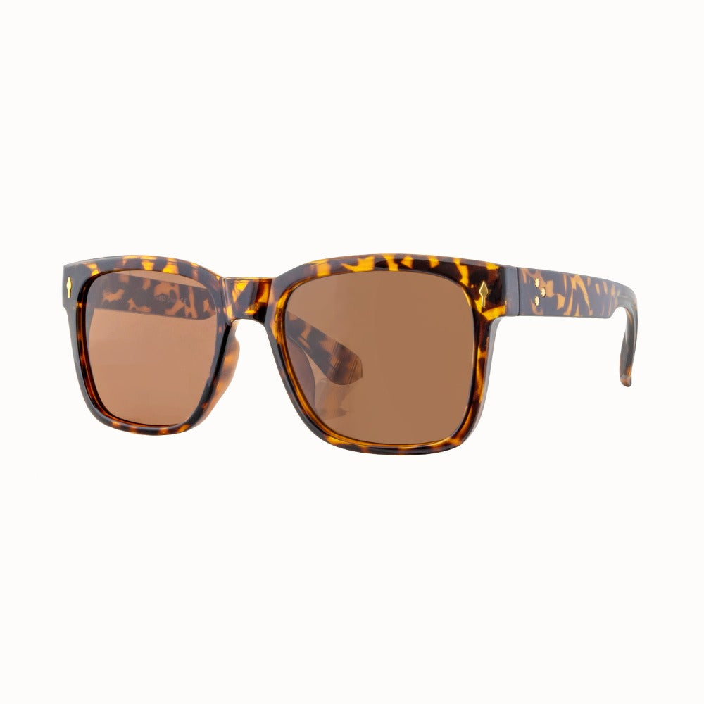 DAN | Tortoise | Brown Lens – Ryan Simkhai Eyeshop