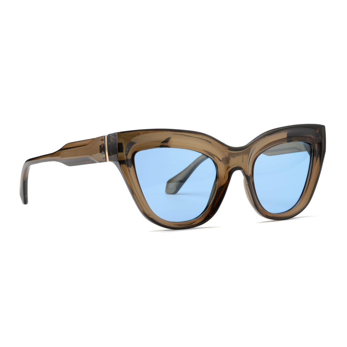 KELSEY | Transparent Dark Brown | Blue Lens – Ryan Simkhai Eyeshop